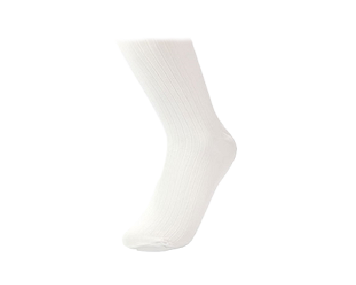 CLEANROOM SOCKS - BIOVICTORY TECHNOLOGY
